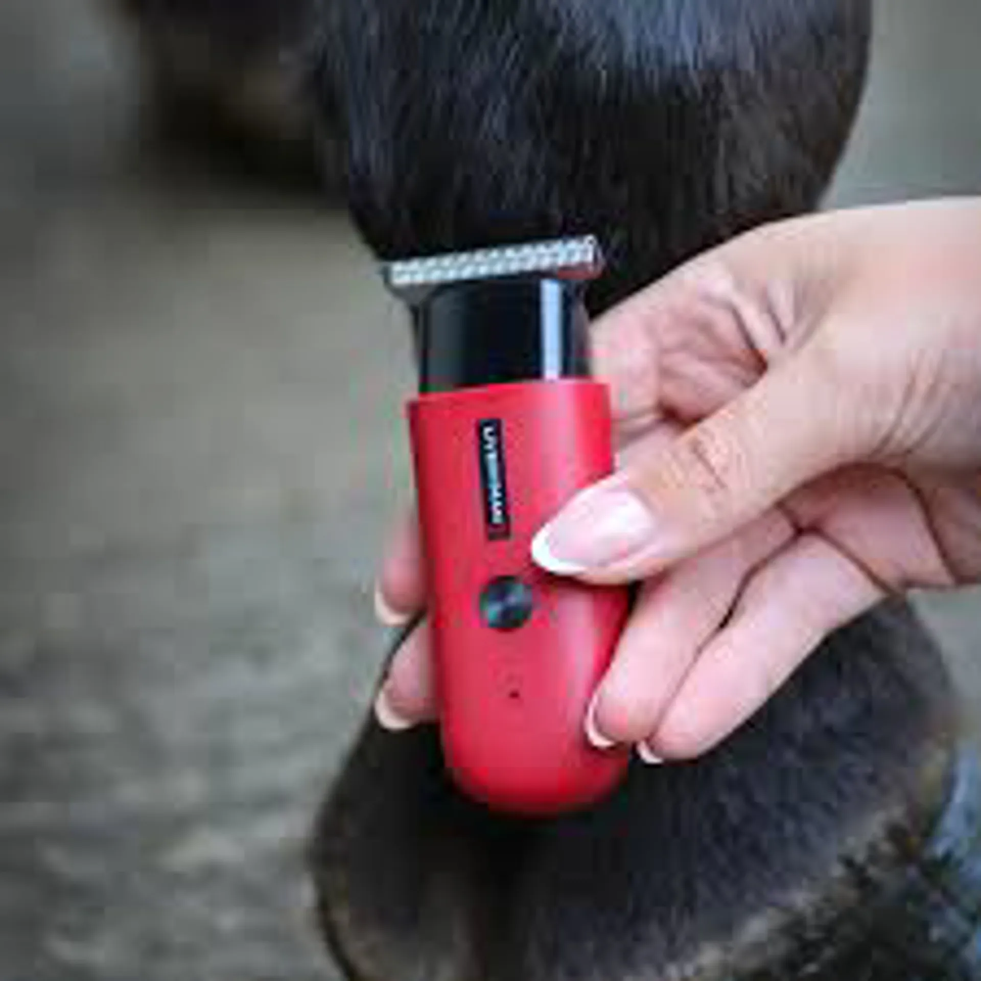 Liveryman Robin Horse Trimmer