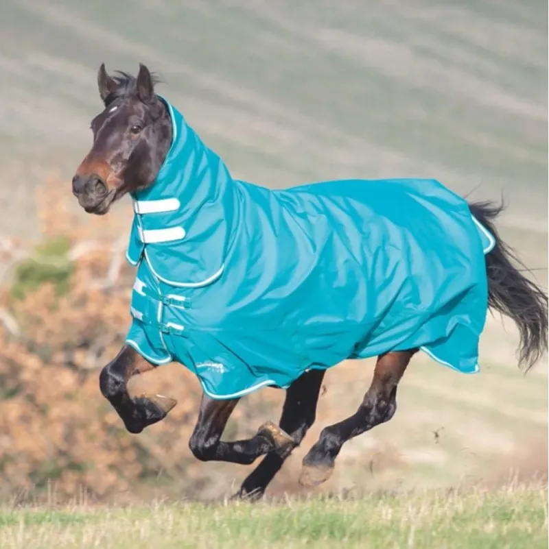 Shires Tempest Plus 200g Turnout Combo Rug - Teal